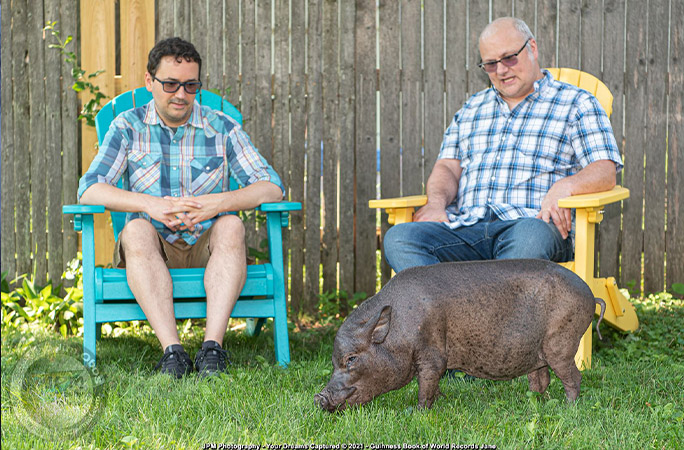 Baby Jane, the oldest pig in captivity ever, dies aged 23 | Guinness ...