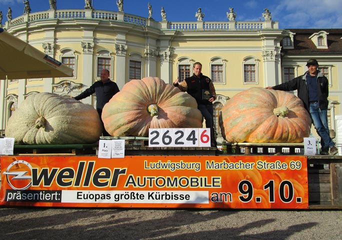Monster pumpkin heavier than a small car breaks world record | Guinness ...