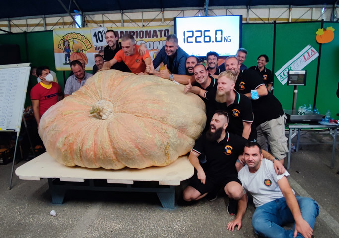 Monster pumpkin heavier than a small car breaks world record | Guinness ...