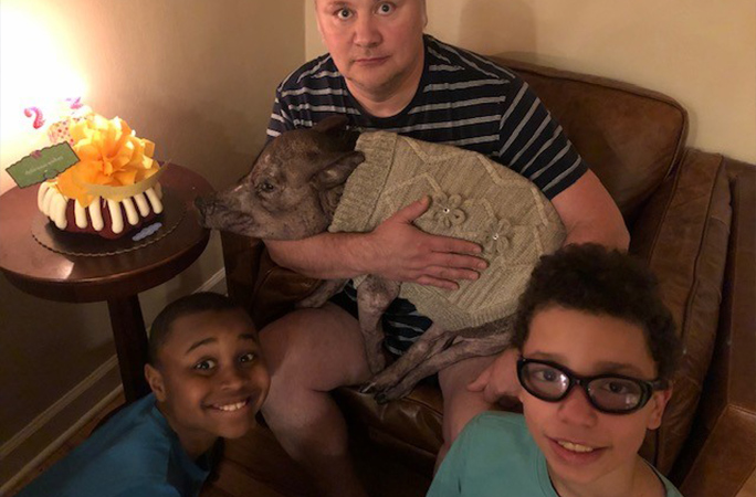 23-year-old pig, Baby Jane, becomes oldest in captivity ever | Guinness ...