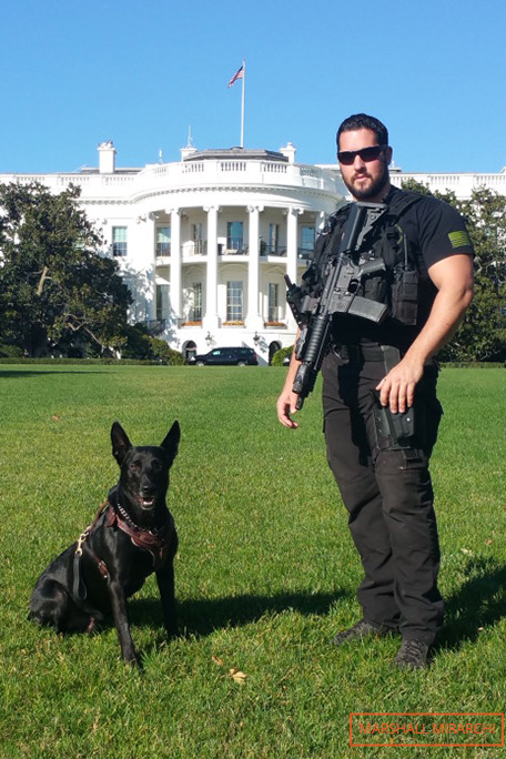 Retired US Secret Service K9 earns record title after defending the ...