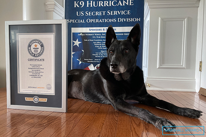 Retired US Secret Service K9 earns record title after defending the ...