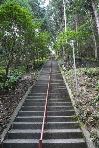 Champion stair climber who found passion in his 30s says it's never too ...
