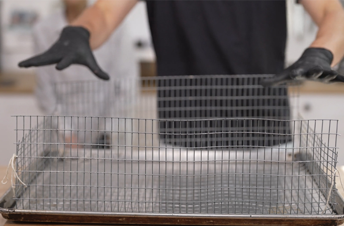 TikTok’s Nick DiGiovanni and Lynja create world’s largest chicken ...