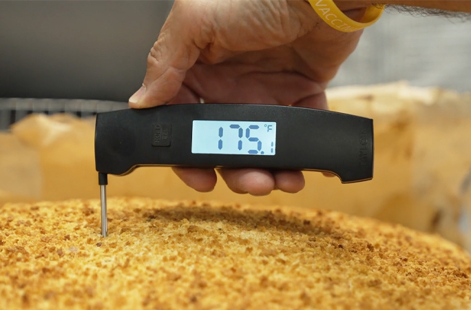 TikTok’s Nick DiGiovanni and Lynja create world’s largest chicken ...