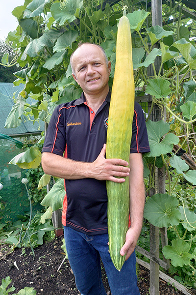 World's longest cucumber record broken by Polish grower | Guinness ...