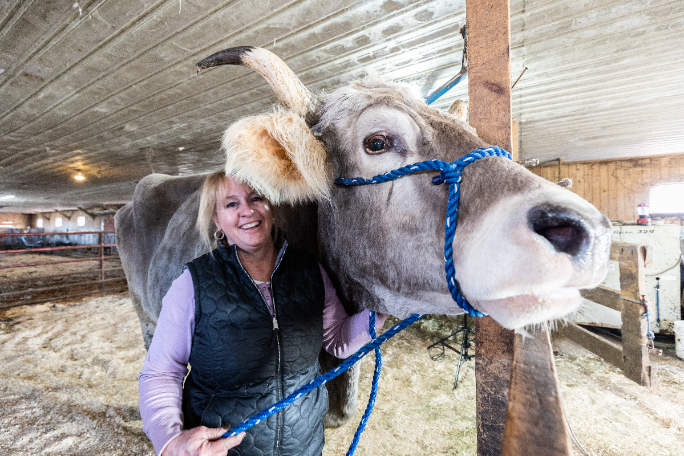 Gigantic bovine breaks moognificent record for tallest living steer ...