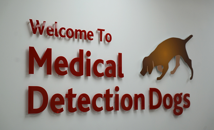 Meet the record-breaking dogs that can smell COVID-19, cancer and PoTS ...