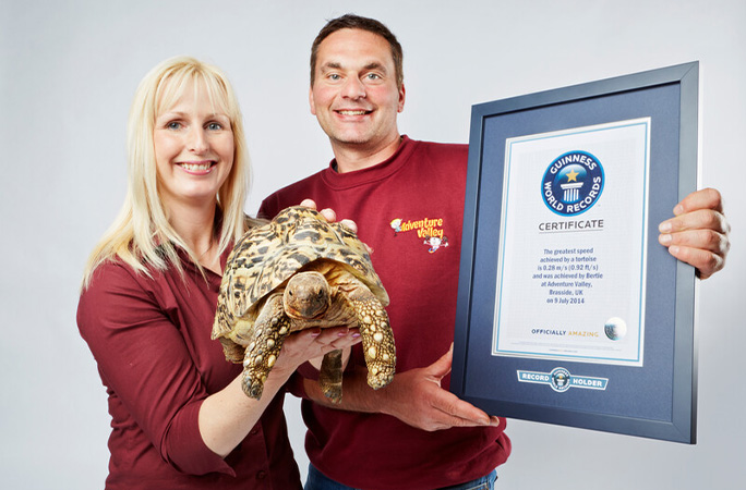 World’s fastest tortoise Bertie now a dad-of-two who’s passed down his ...