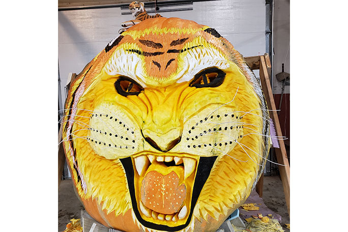 Good gourd! American pumpkin as heavy as two cows squashes all past ...