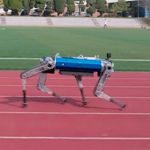 Robo-dog named “HOUND” sets 100-metre robot sprint record | Guinness ...