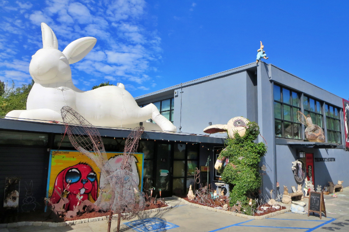 Bunny enthusiasts transform largest collection of rabbit related items ...