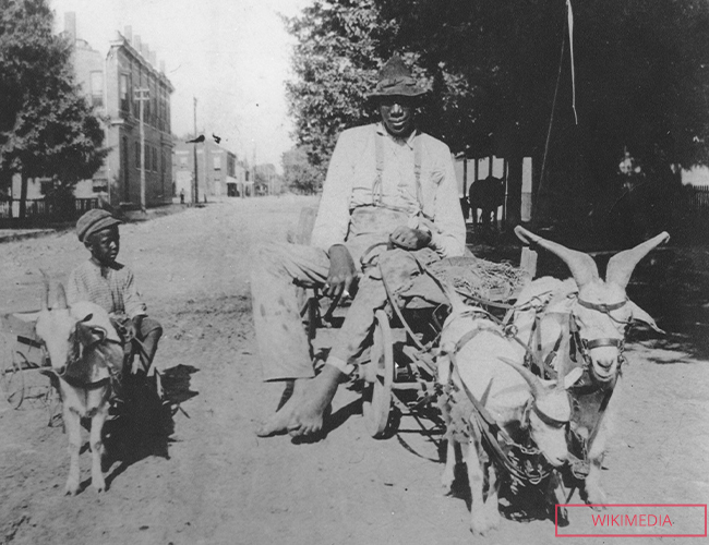 The second-tallest man ever: John "Bud" Rogan | Guinness World Records