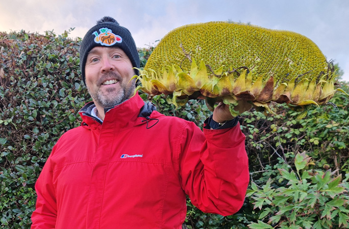 Sunflower head heavier than a bowling ball breaks world record ...