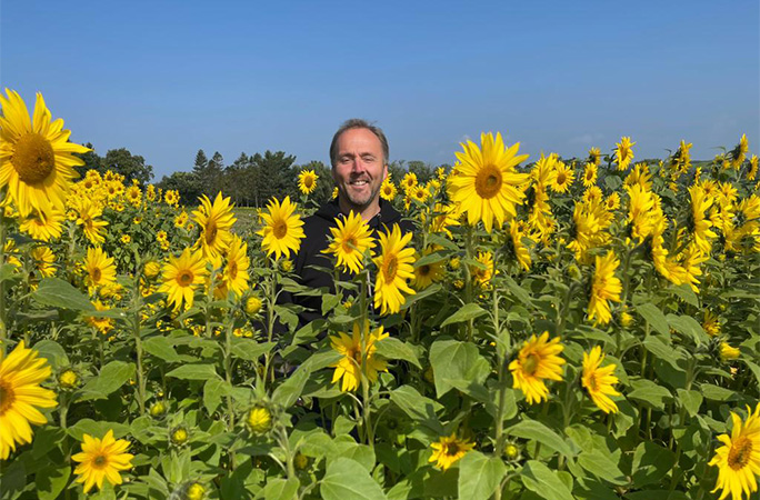 Sunflower head heavier than a bowling ball breaks world record ...