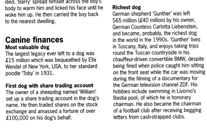 Truth behind the world’s richest dog and star of Gunther’s Millions on ...