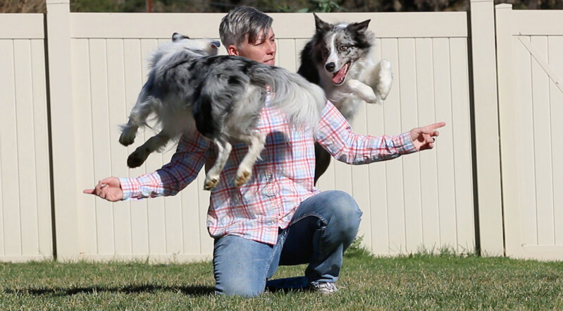 Five record-breaking animal tricks that will make your day better ...