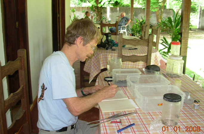 Record-breaking scientist who devised insect sting pain scale dies at ...