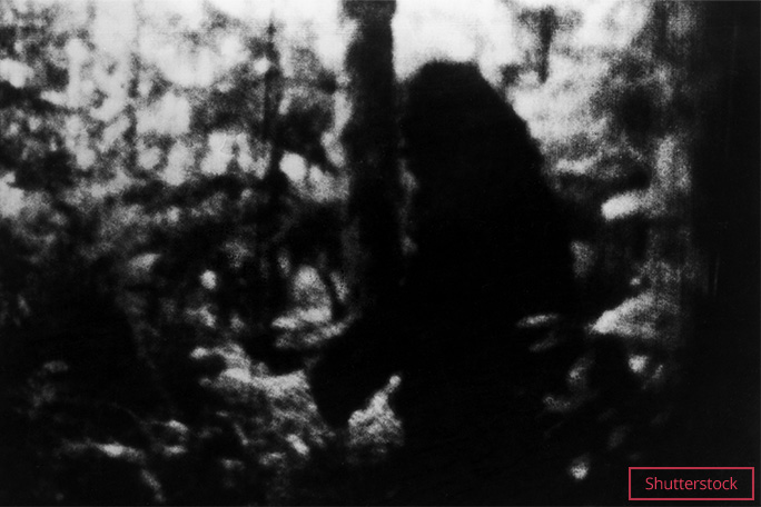 The legend of the ‘true giant’ aka world’s tallest Bigfoot | Guinness ...