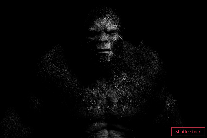 The legend of the ‘true giant’ aka world’s tallest Bigfoot | Guinness ...