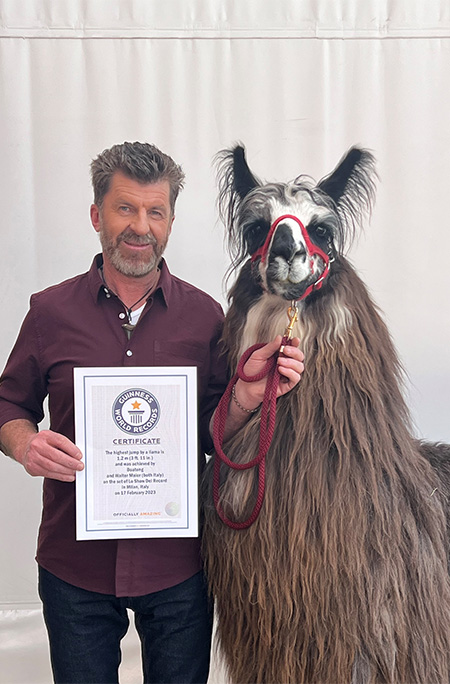 Leaping llama earns bragging rights on the farm with record-breaking TV appearance | Guinness ...