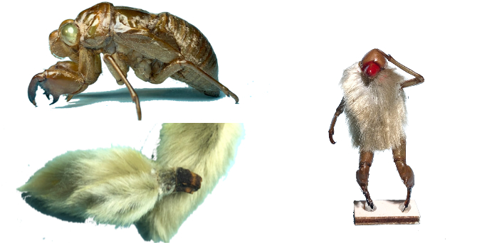 Crafty Chinese artist documents his entire year through tiny ...