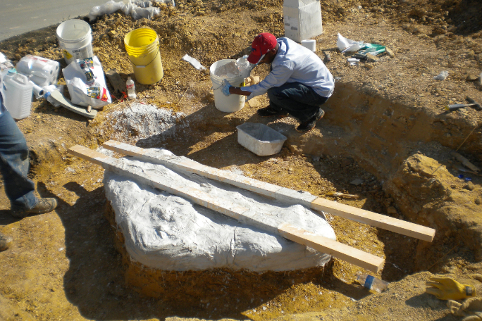 Little kid unearthed the bones of a 100-million-year-old dinosaur at ...