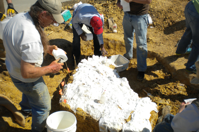 Little kid unearthed the bones of a 100-million-year-old dinosaur at ...
