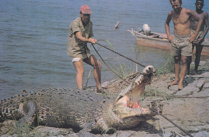 Largest crocodile Cassius went from terrifying predator to dreamy eyed dad | Guinness World Records