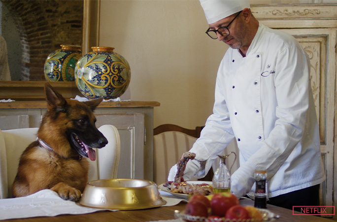 How Blackie became a millionaire and the world’s wealthiest cat ...