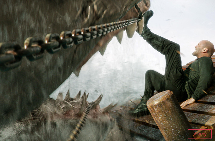 How world's largest shark, the megalodon, became terrifying ruler of ...