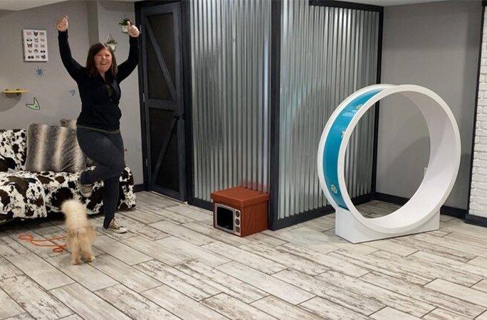 Talented kitty named Kit Kat deserves to take a break after epic ...