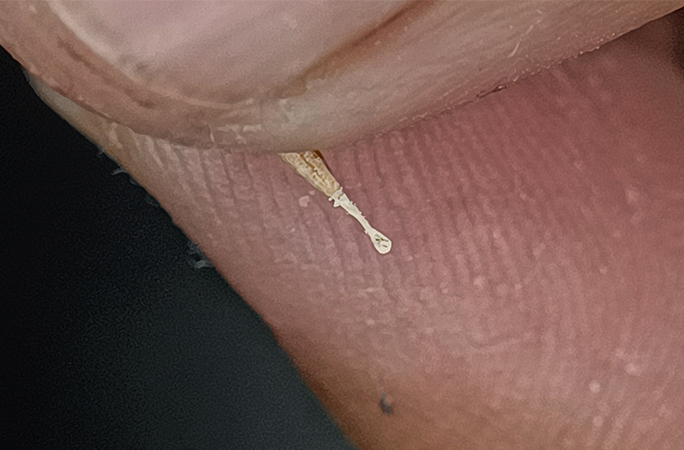 Indian micro artist scoops record for smallest wooden spoon | Guinness ...