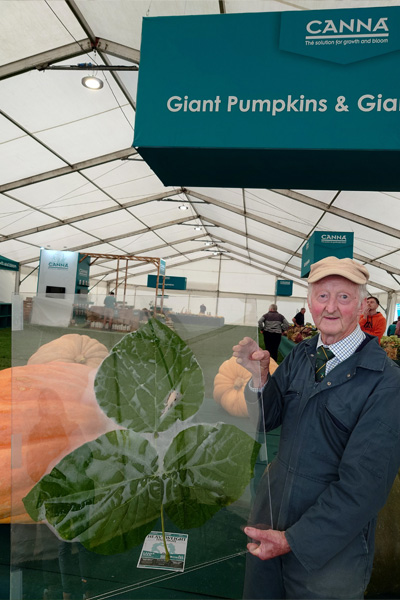 Heaviest onion that weighs more than a bowling ball unveiled with other ...