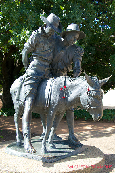 World’s bravest donkey earned Purple Cross for World War I heroics ...