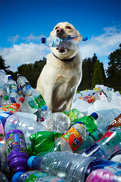 Tubby the recycling dog made the world a better place by collecting ...