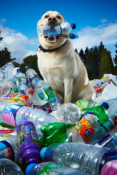 Tubby the recycling dog made the world a better place by collecting ...
