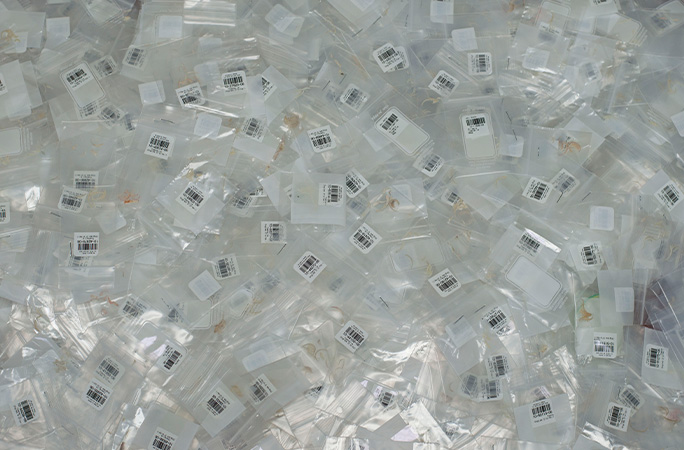 Got your toe(nails)! Scientific study holds largest collection of ...