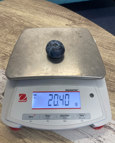 Behemoth blueberry grown in Australia verified as heaviest ever ...