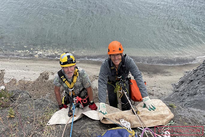 'Sea monster' unearthed on UK coast one of the best-preserved of its ...