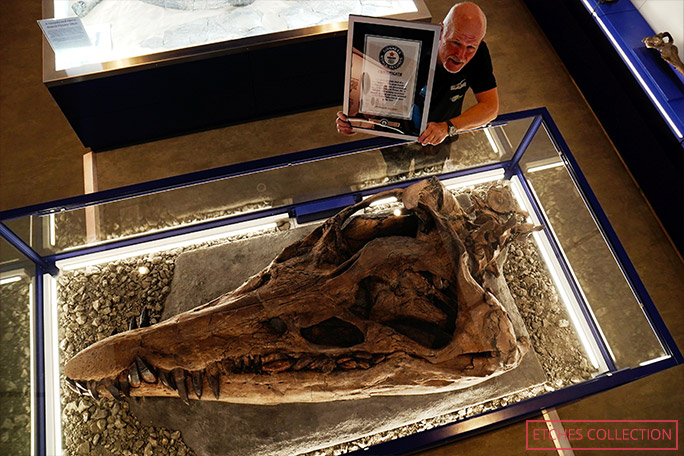 'Sea monster' unearthed on UK coast one of the best-preserved of its ...