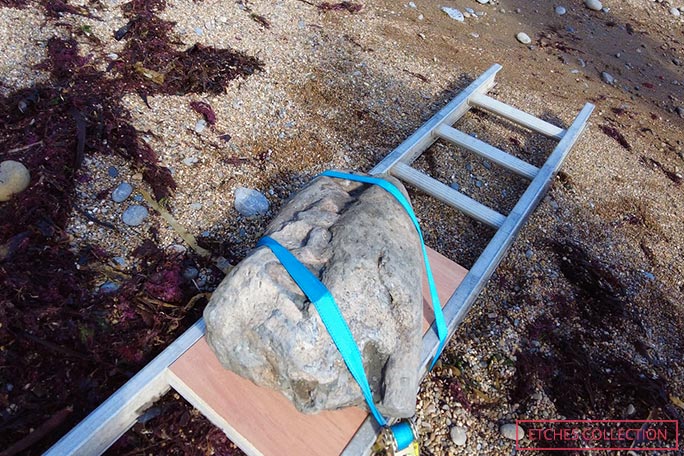 'Sea monster' unearthed on UK coast one of the best-preserved of its ...