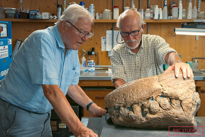 'Sea monster' unearthed on UK coast one of the best-preserved of its ...