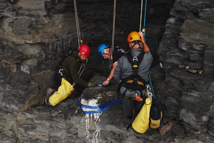 'Sea monster' unearthed on UK coast one of the best-preserved of its ...