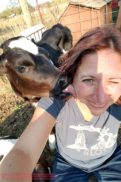 Tallest steer Romeo grows to record height years after being rescued ...