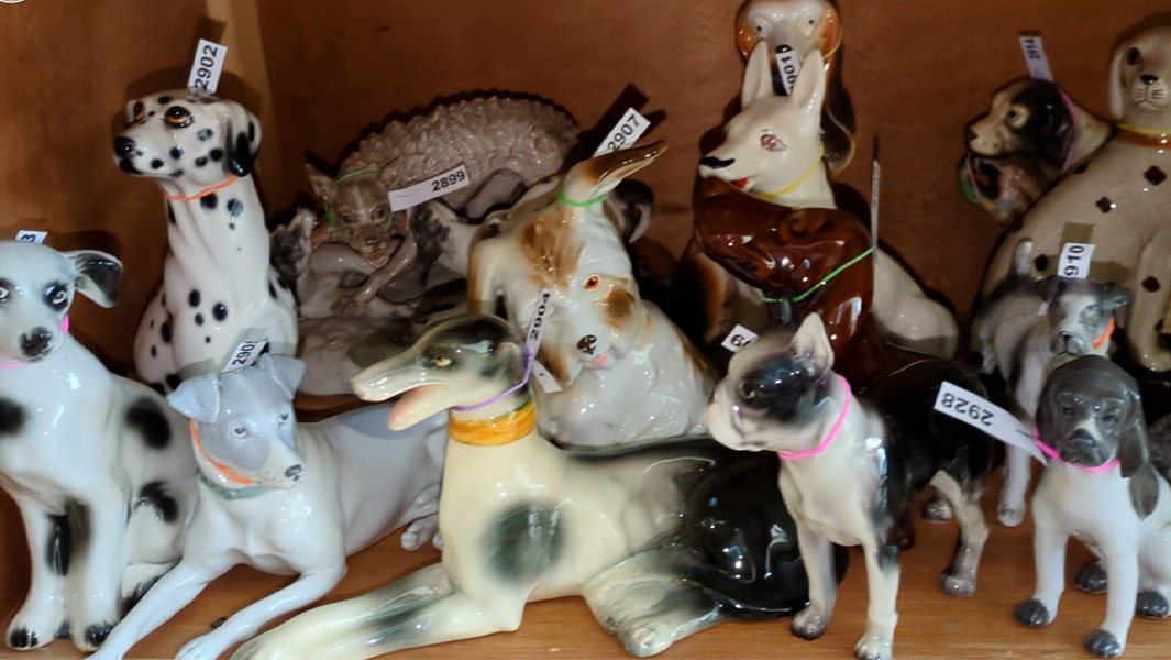 Home | Guinness World Records