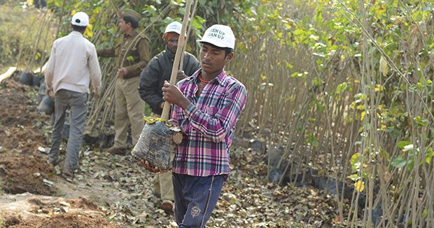 Uttar Pradesh Government in India sets record distributing over 1 ...