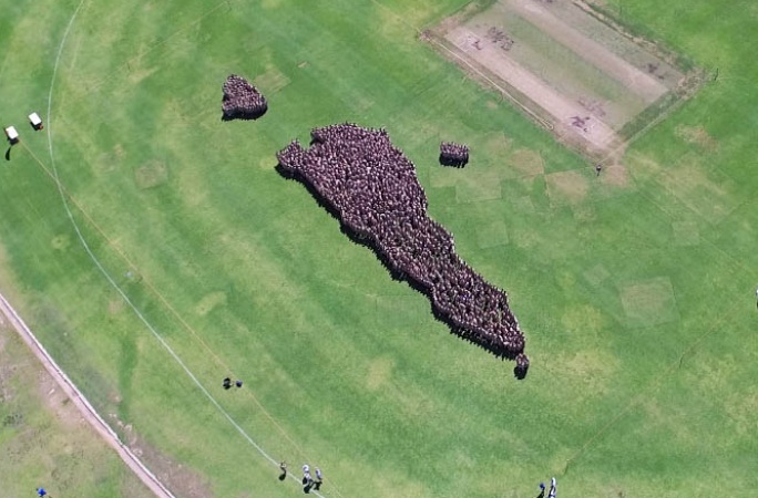 Largest human image of a country record broken again with almost 5,000 ...