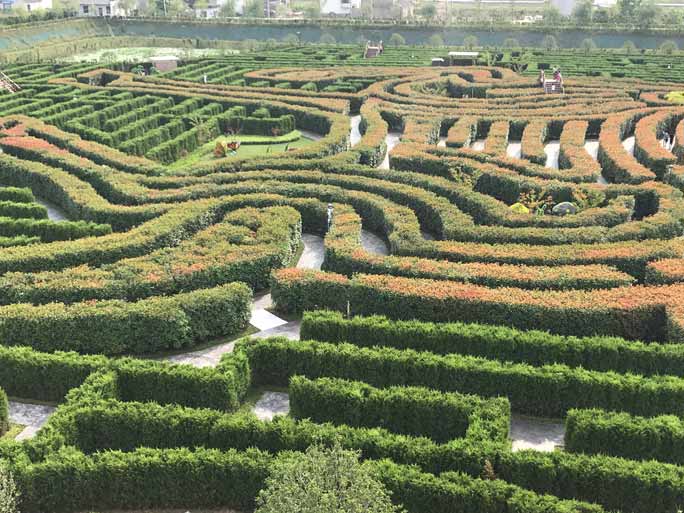 Video: Look round the largest maze which features a path more than 9 km ...
