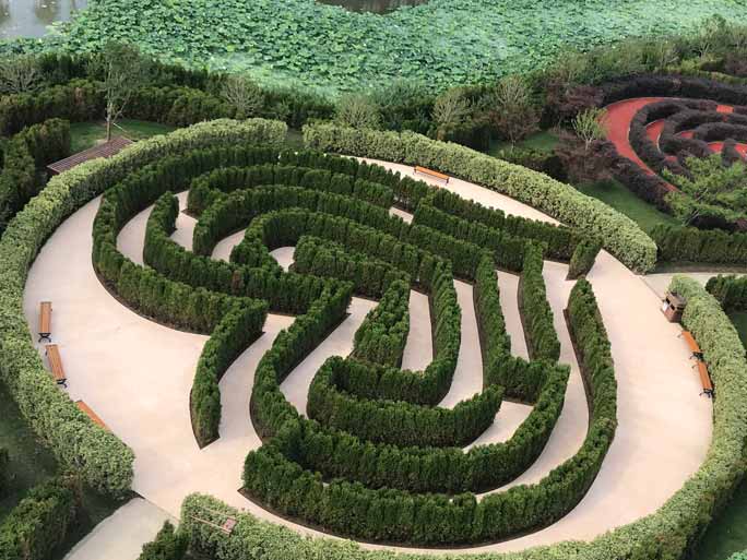 Video: Look round the largest maze which features a path more than 9 km ...